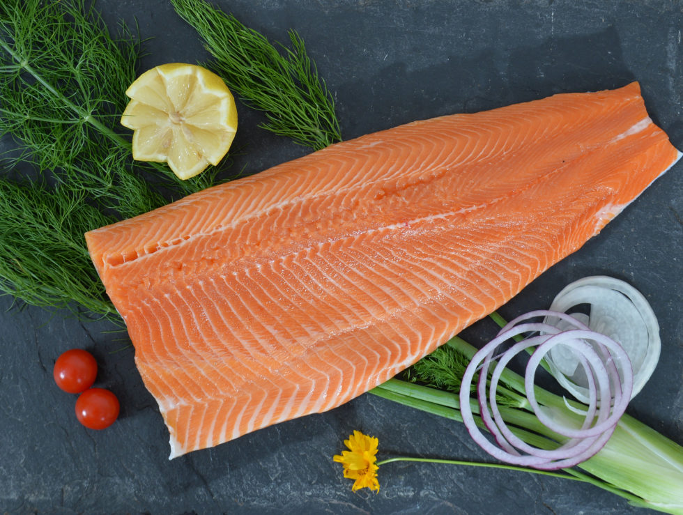 TRUITE - FISH Brenne